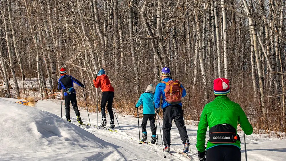 Things to Do in Candle Lake | Sask Parks