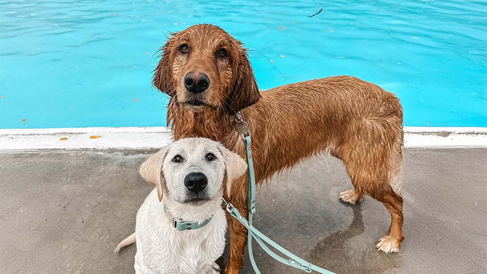 Buffalo Pound Provincial Park | Sask Parks