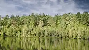 Fort Pitt Provincial Historic Park | Sask Parks