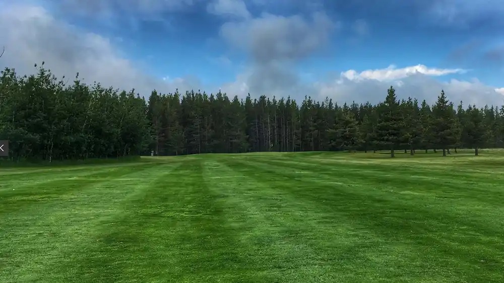Things to Do in Cypress Hills | Sask Parks