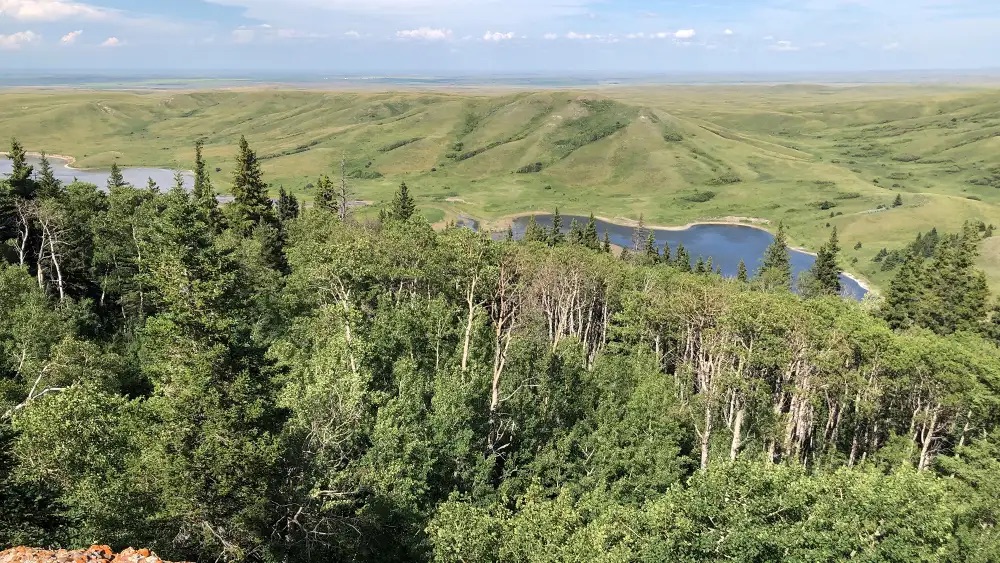 Cypress Hills Interprovincial Park | Sask Parks