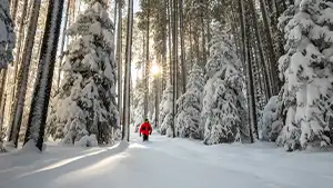 Fort Carlton Provincial Historic Park | Sask Parks