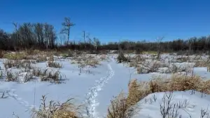 Fort Pitt Provincial Historic Park | Sask Parks