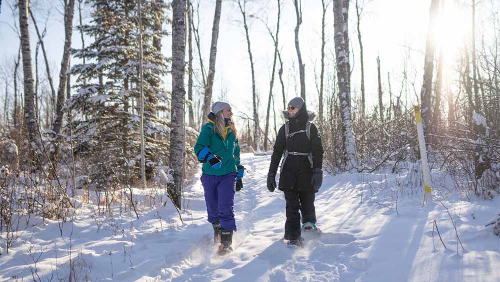 Snowmobile Trails | Snowmobiling in Saskatchewan | Sask Parks