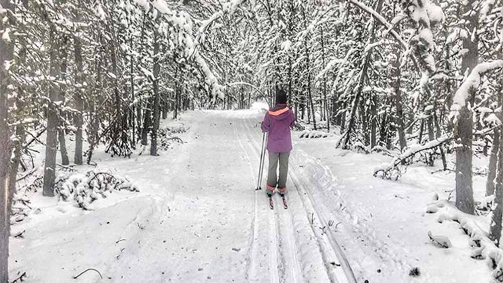 Meadow Lake Provincial Park | Sask Parks
