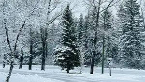 Fort Pitt Provincial Historic Park | Sask Parks