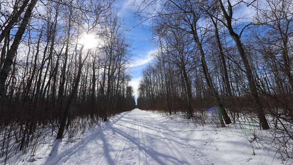 Saskatchewan Landing Provincial Park | Sask Parks