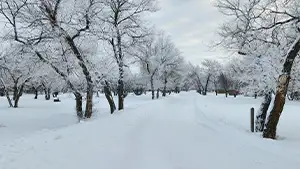 Fort Carlton Provincial Historic Park | Sask Parks